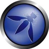 Osint Python Github Topics Github
