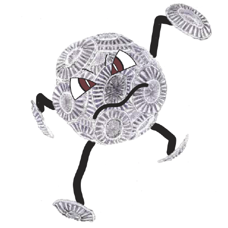 Notorious Sbg Github