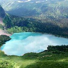 Nicky282 Nicky Github