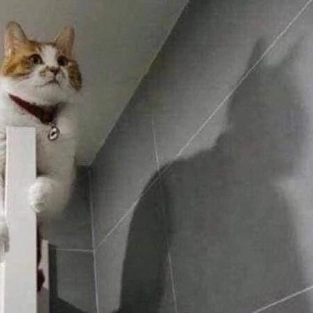 Hm Li0420 Github - Dark Textures - Premium Retina Collection