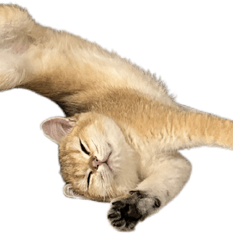 Wang Qiuchen Qiuchen Wang Github