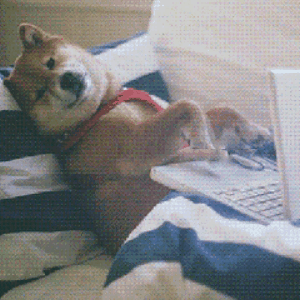 Diving Into Pygeoapi Diving Into Pygeoapi