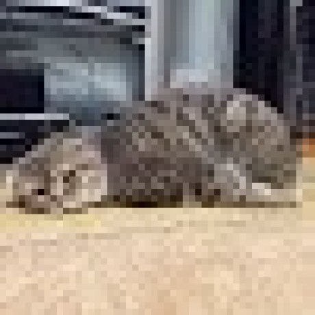 Github Patorjk Javascript Snake The Game Of Snake Written In Javascript