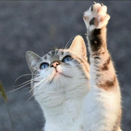 Wangbin Chn Wangbin Github