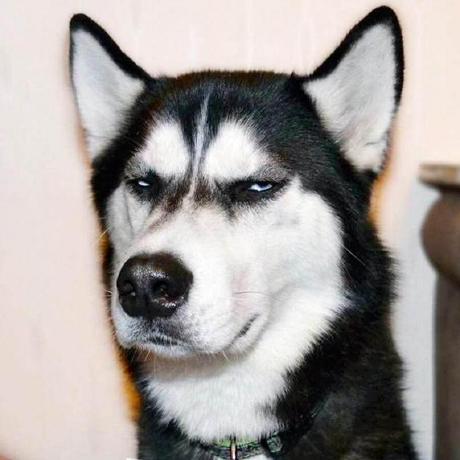 Mxm Bender M小明 Github