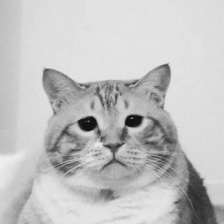 Xuyuan0204 Xuyuan Liu Github