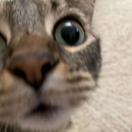 Eru Da Noelle Smith Github - City Design Collection - Retina Quality