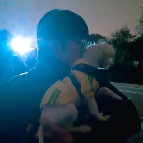 Doyle Flutter James Dev Github