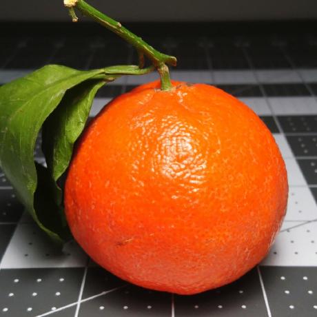 Citrusjuicebox Citrus Github