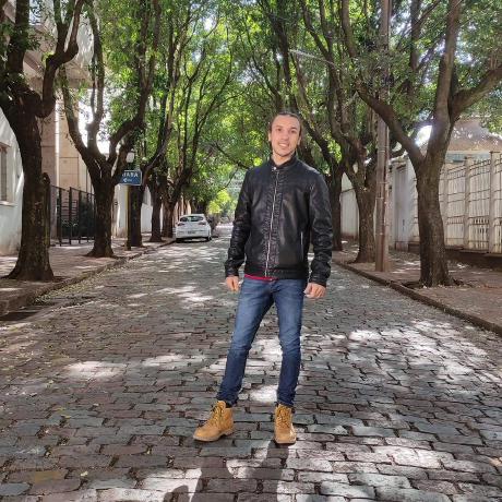 Lerrygo Lerry Augusto Pirani Github