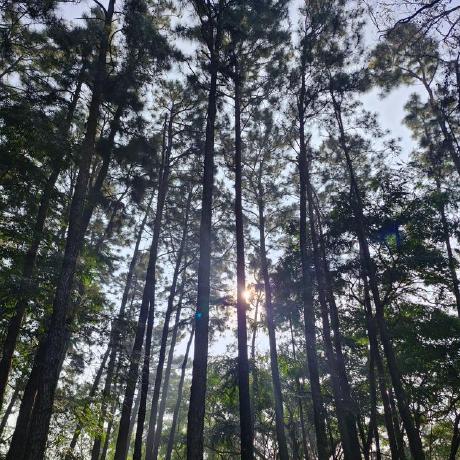 Prashanth233 Prashanth Github