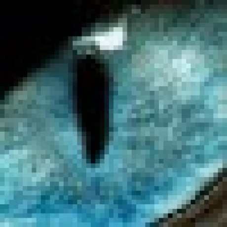 Vadim Romanov Github