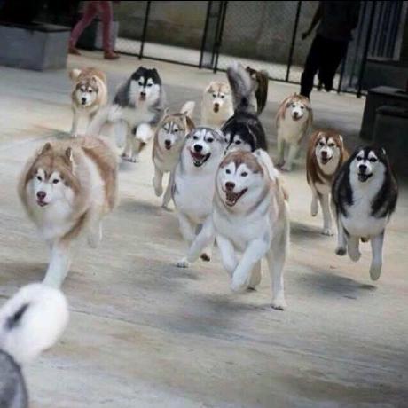 Github Dododododuo Onehundred C - Landscape Arts - Creative 8K Collection