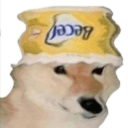 Rogercronin Roger Github