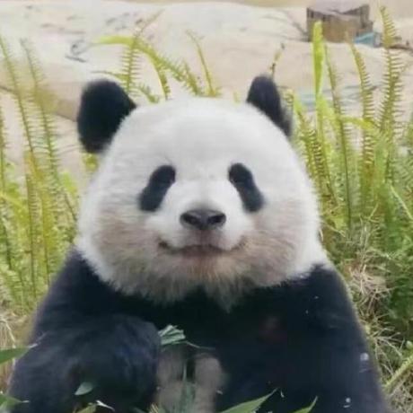 Hmc Dataexplorer Hmc Github