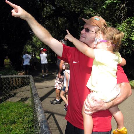 Juarezr Juarez Rudsatz Github - Premium Colorful Illustration Gallery - Mobile