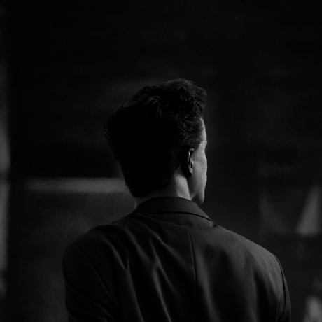 Vincent Maximus Github