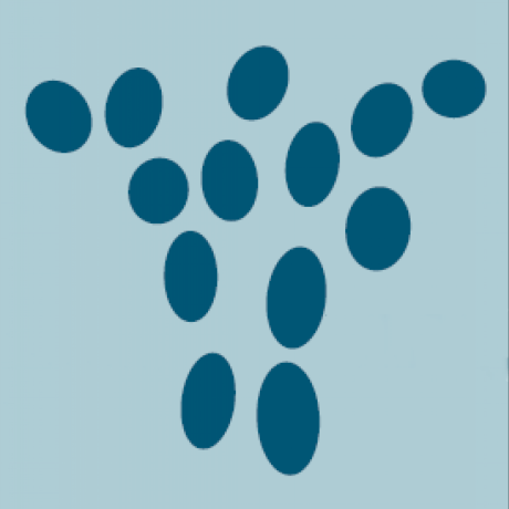 Chraibi Mohcine Chraibi Github