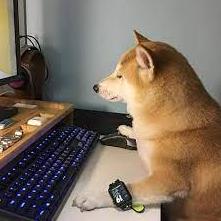 Changjinmoon Jin Github