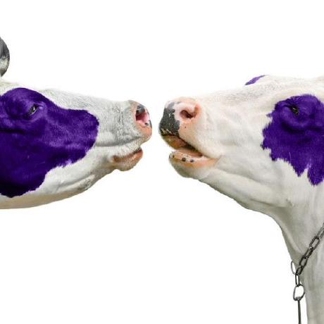 Purple Cow Internet Github
