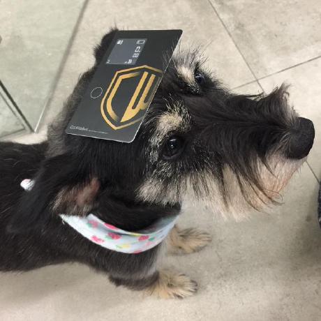 Cbxgyh Cbx Github - Best Mountain Pictures in Mobile