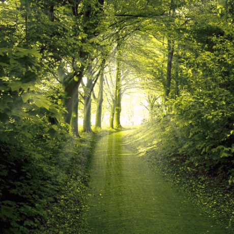 Shawnye Shawn Ye Github