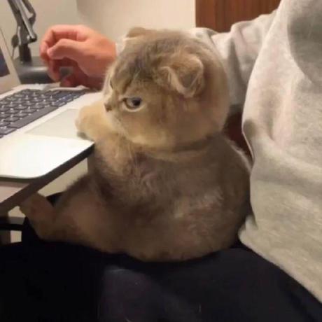 Rubenh Github Ruben Hernandez Jr Github