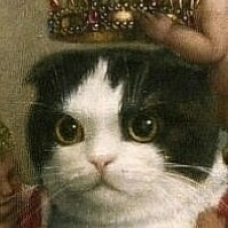 Sean0203 Sean Github