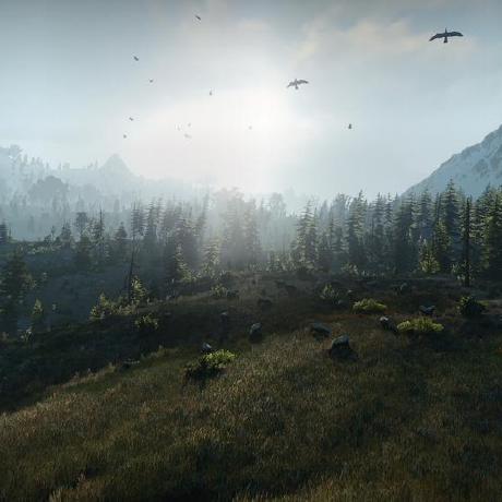 Jack52896 Jack Github