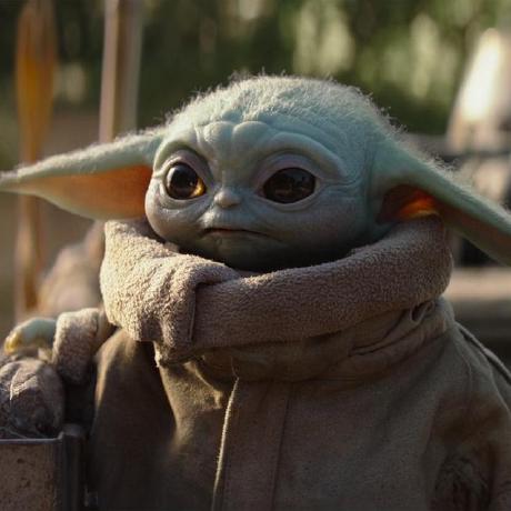 Ayseleynavuz Aleyna Yavuz Github