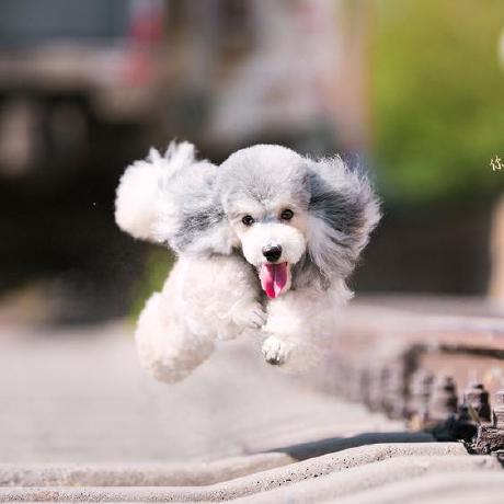 Mzwdan Mzwdan Github