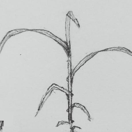 Zhangrenl Zhang Renliang Github