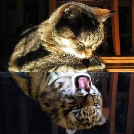 Captain Pirate Github