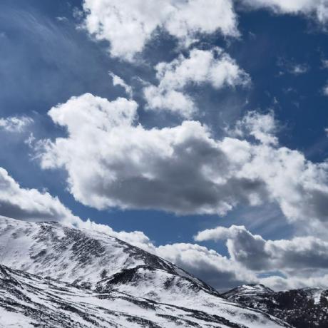 Tzq0301 Zhaoqi Tong Github