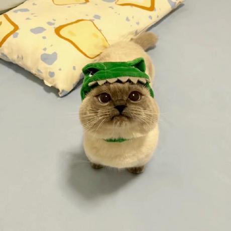 Driftydev Drifty Github