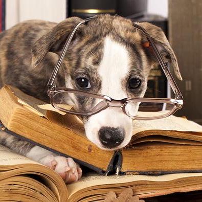 Seanli Coder Sean Github