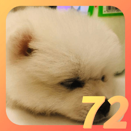 Jerry Bing Jerry Bing Github