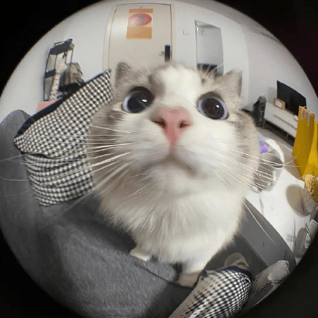 Adazdef Pixelprecision Github