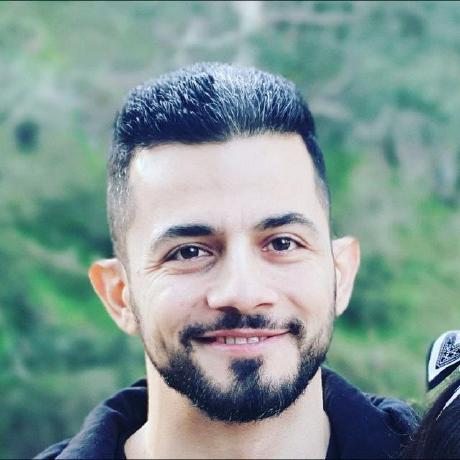 Mehran M Mehran Github