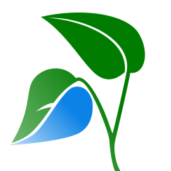 Spring Innovate Github