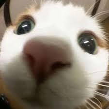 Imanol Ortega Imanol Ortega Github