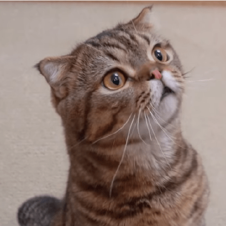 Drpi101 Dr Pi Github