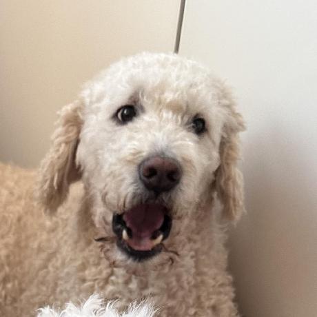 Julian We Julian Wegner Github