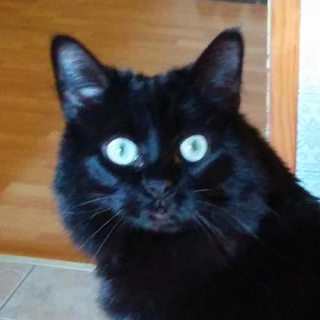 Github Breuleux Jurigged Hot Reloading For Python