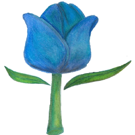 Springtransits Github