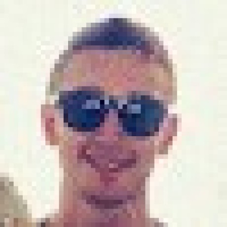 Cam319 Pixel Github
