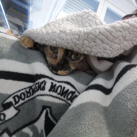 Borja Fernandez Borja Fernandez Github