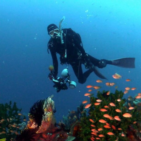 Nobuhiko Kimoto Nobuhiko Github