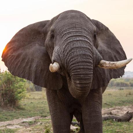 Wk Warui Kelvin Warui Github - Mountain Texture Collection - Retina Quality