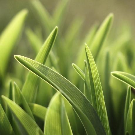 Geheimnis Oht Github